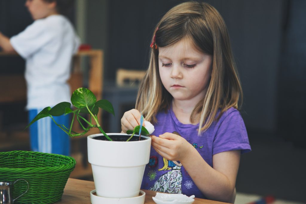 Plants in the Classroom - Baan Dek